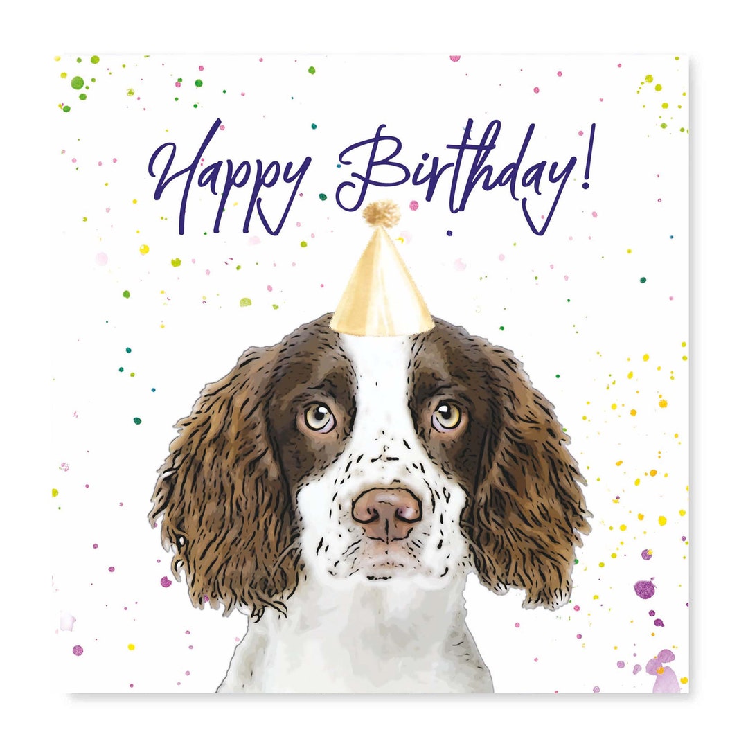Springer Spaniel Birthday Card Party Hat Greetings Card - Etsy
