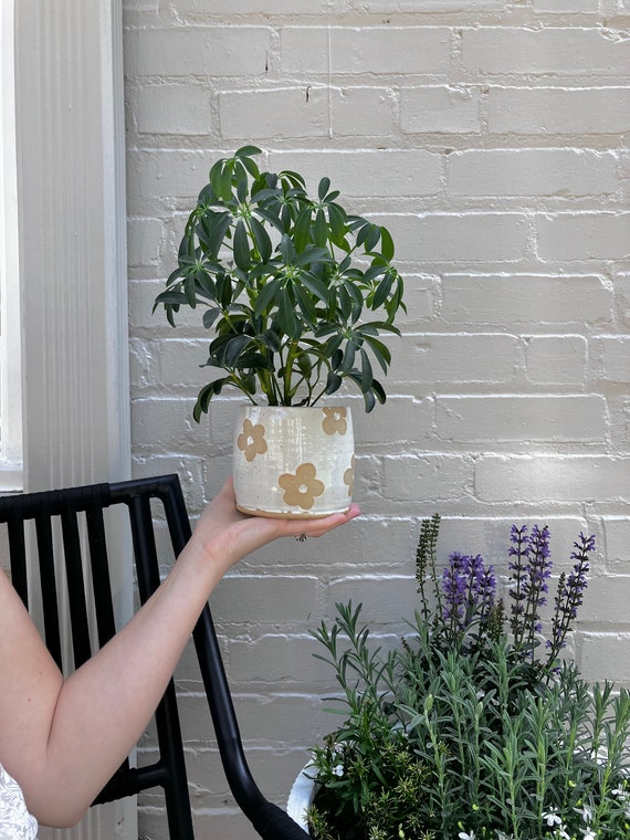 Daisy Ceramic Plant Pot - Etsy