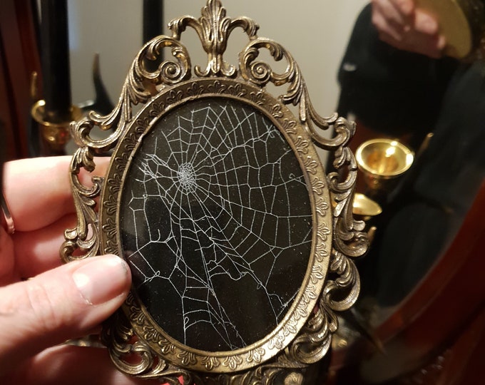 IN STOCK Vintage Brass Ornate Convex Frame With Preserved Spiderweb #1 ...