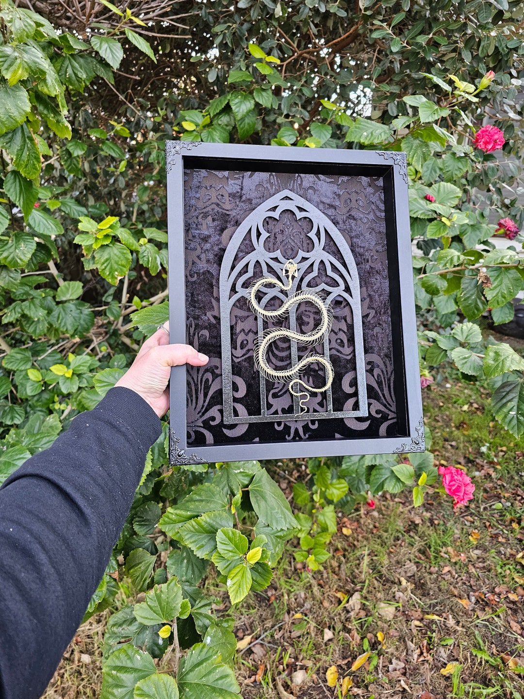 IN STOCK White Lipped Pit Viper Skeleton (trimeresurus Albolabris) on a ...