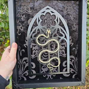 IN STOCK White Lipped Pit Viper Skeleton (trimeresurus Albolabris) on a ...