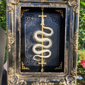 PREORDER Real Snake Skeleton Hypsiscopus Plumbea in GOLD Gothic Frame ...