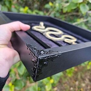 IN STOCK White Lipped Pit Viper Skeleton (trimeresurus Albolabris) on a ...