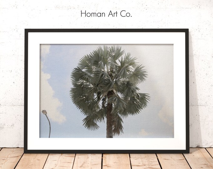 Single Palm II Palm Tree, Tropical Leaf, Coastal Décor, Palm Wall Art ...