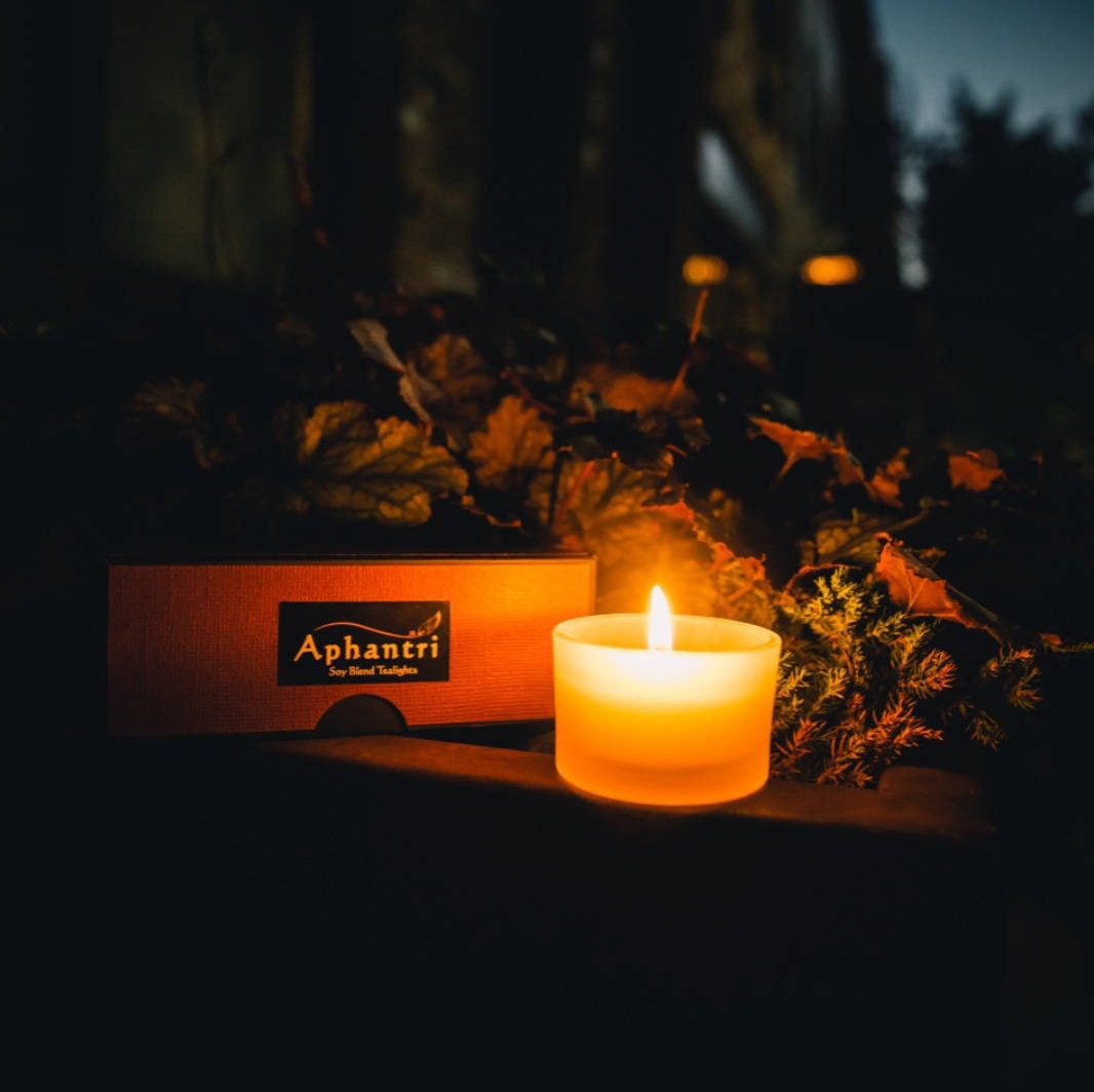 Fig Tree Scented Tea Light Candles - Etsy