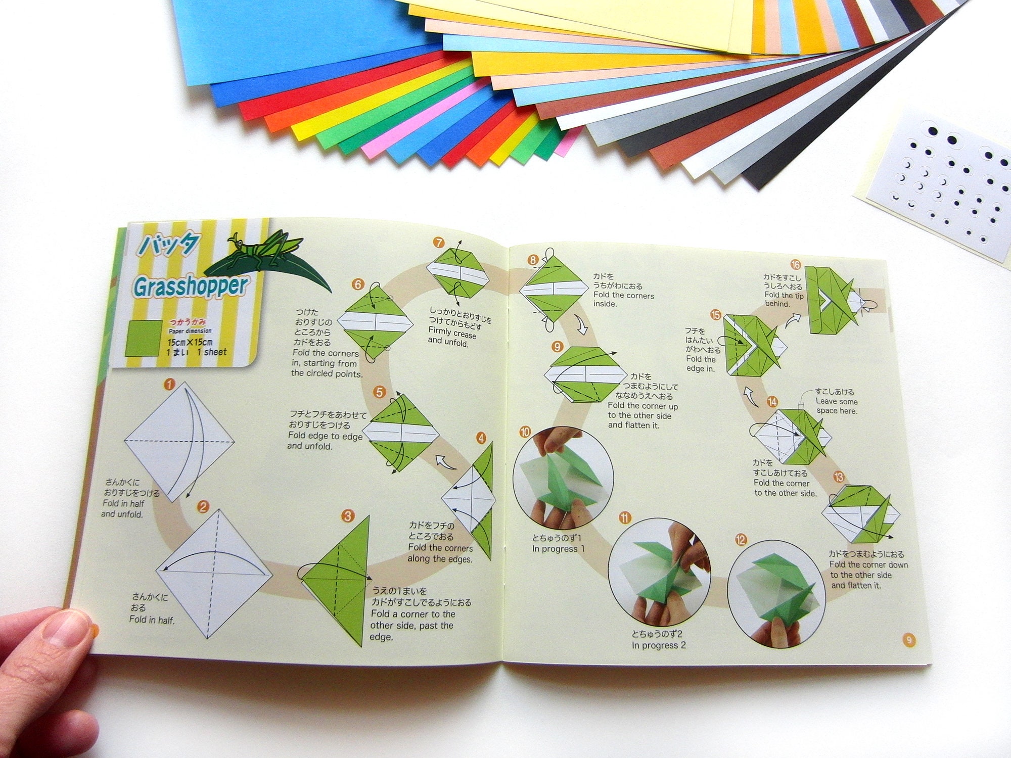 Origami Kit 10 Insects Instruction Booklet 32 - Etsy