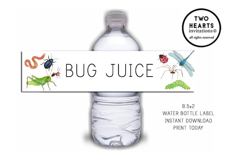 Printable Bug Water Bottle Labels Digital 8.5x2 Watercolor Insects ...