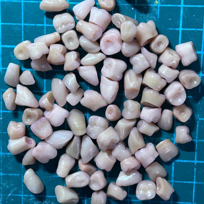 False Teeth - Etsy