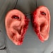 Zombie Ear Necklace. Great Prop for Halloween Cosplay - Etsy