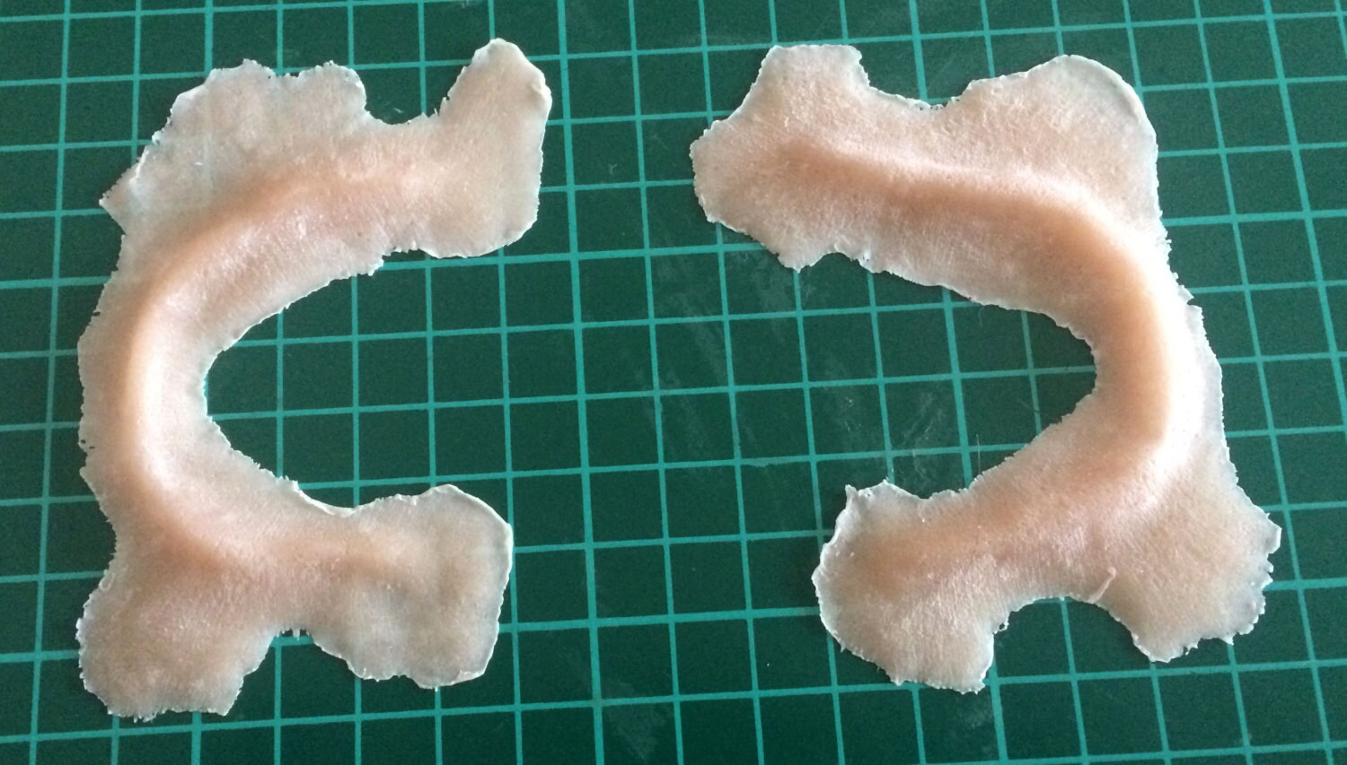 Zombie SFX Gelatin Prosthetic Cheekbone Set: Undead Cosplay - Etsy