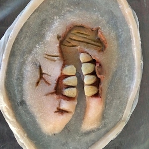 Encapsulated SFX Silicone Zombie Ripped Mouth Prosthetic - Etsy