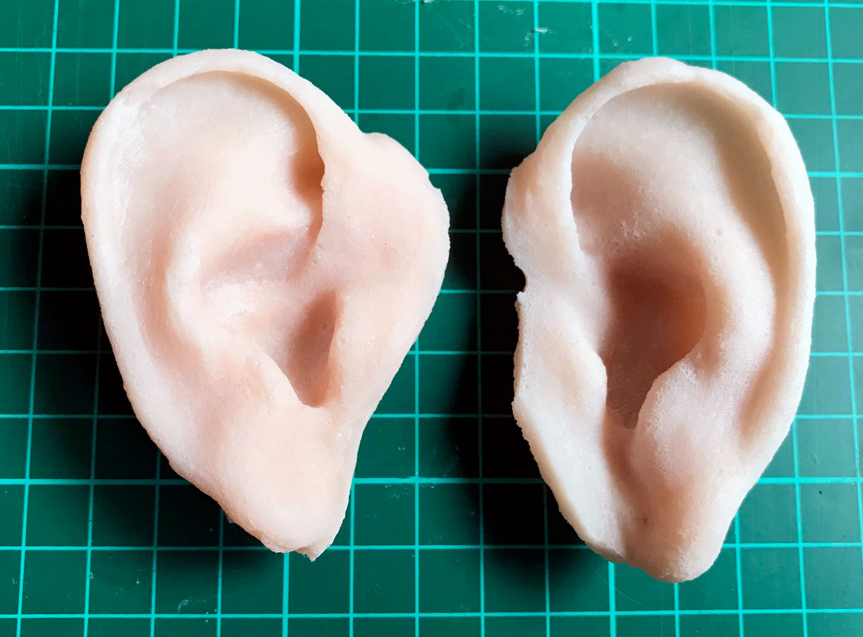 Severed Prop Ears in Light Flesh Colour. Made From Gelatine - Etsy UK