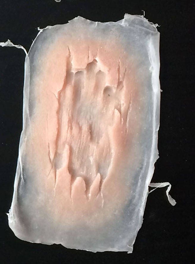 Prosthetic Sfx Big Scratch Created in Gelatin. Great for a | Etsy