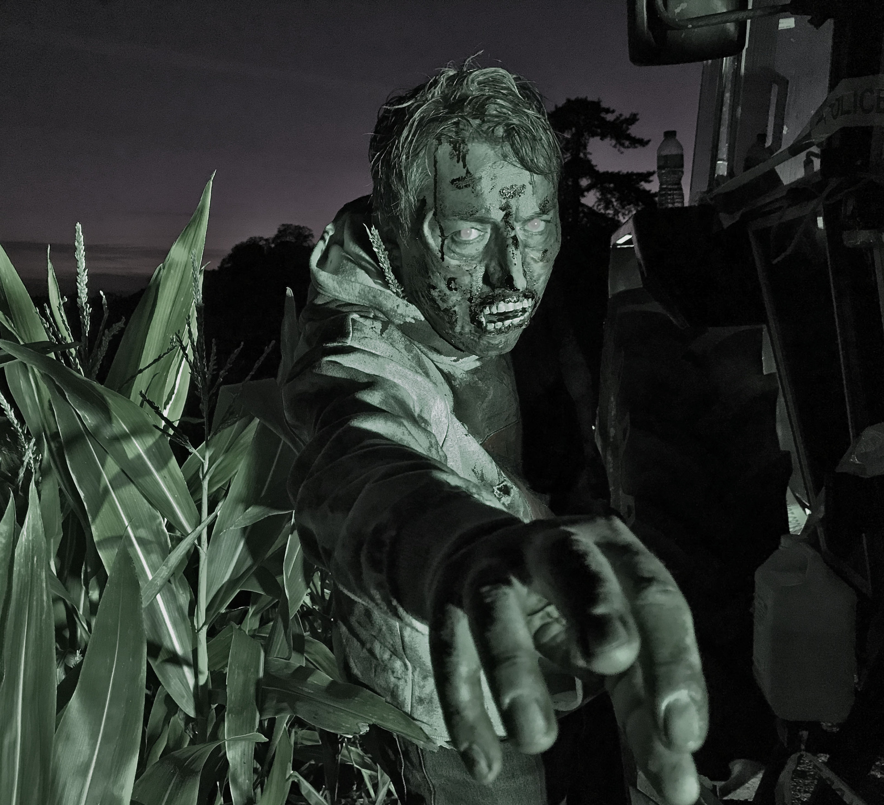 Zombie Sfx Gelatin Prosthetic Cheekbone Set. Perfect for an | Etsy