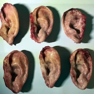 Zombie Ear Necklace. Great Prop for Halloween, Cosplay, Larping, Film ...