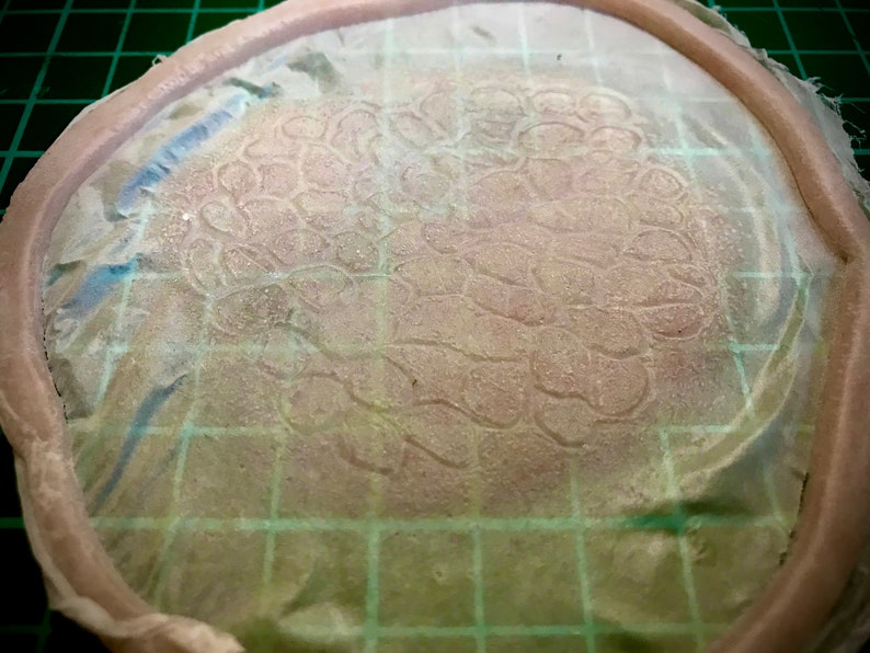 Encapsulated Silicone SFX Scales Prosthetic. Perfect for Film - Etsy