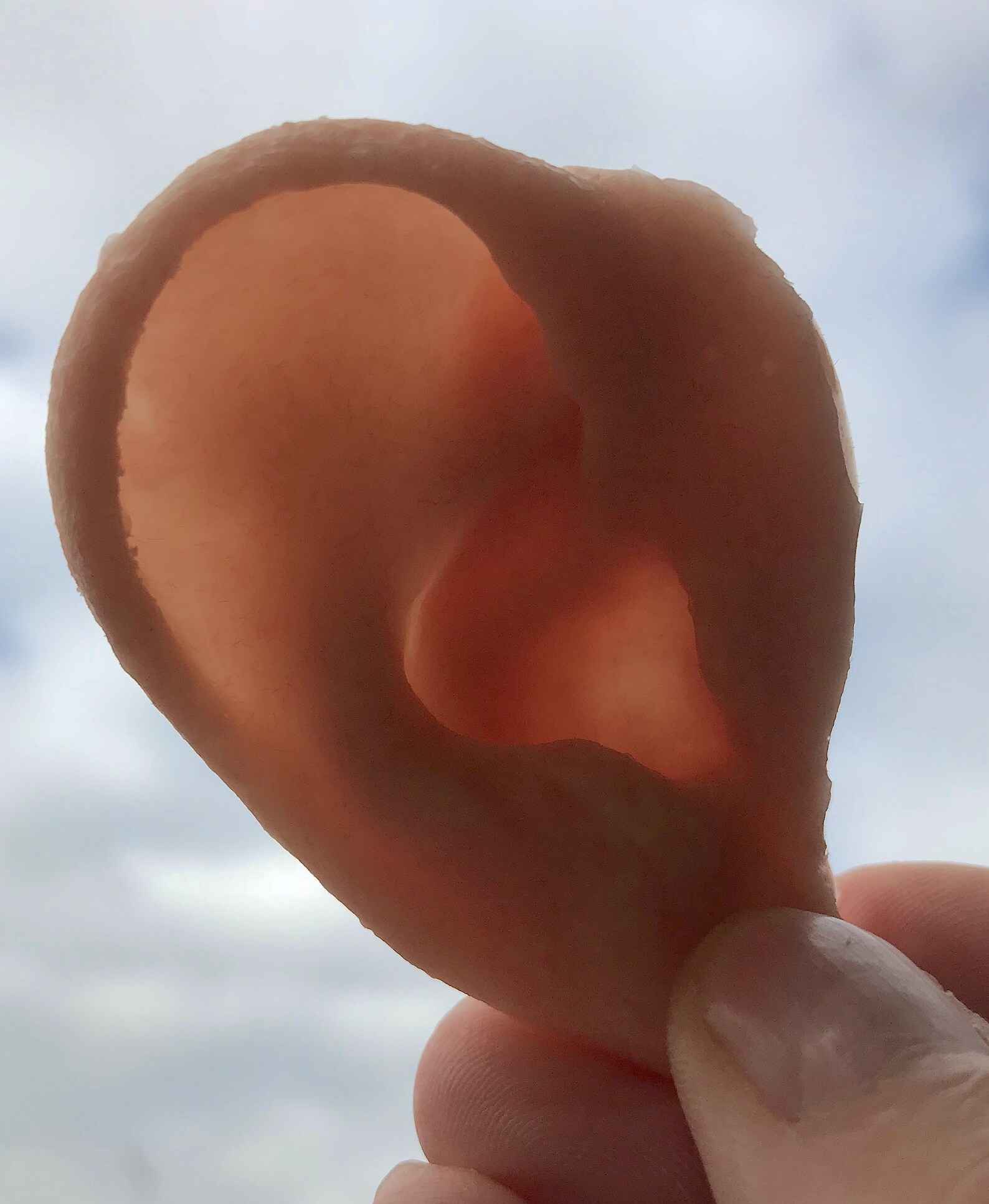 Silicone Severed Ear Props. Created in Hard Wearing Silicone. - Etsy UK