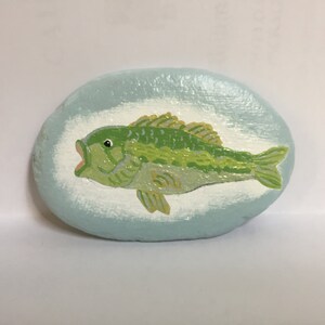 Fish painted rocks | Etsy