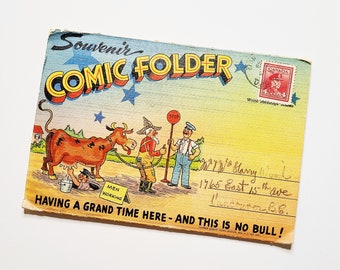 Comic Folder - Etsy