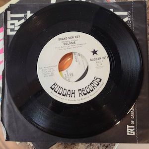 Lot of 20 Vintage '45 RPM' Vinyl Records, All With Sleeves, Bulk 45 RPM ...