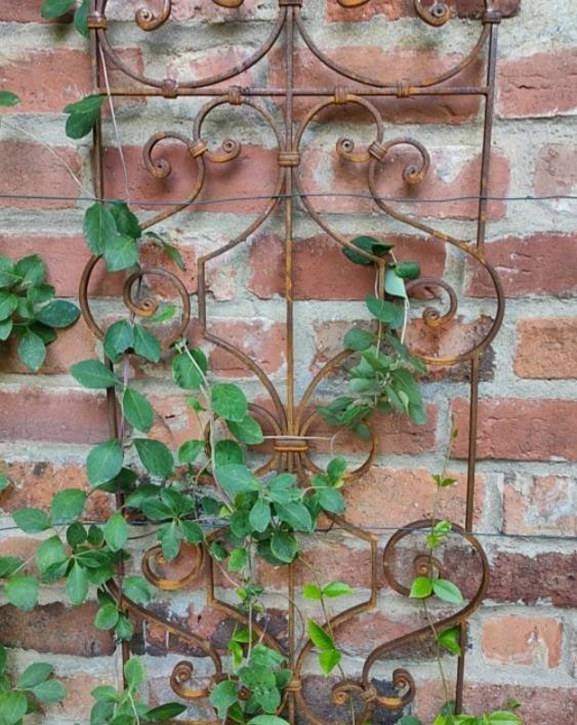 Garden Trellis Wall Mounted Garden Trellis Metal Trellis - Etsy Hong Kong