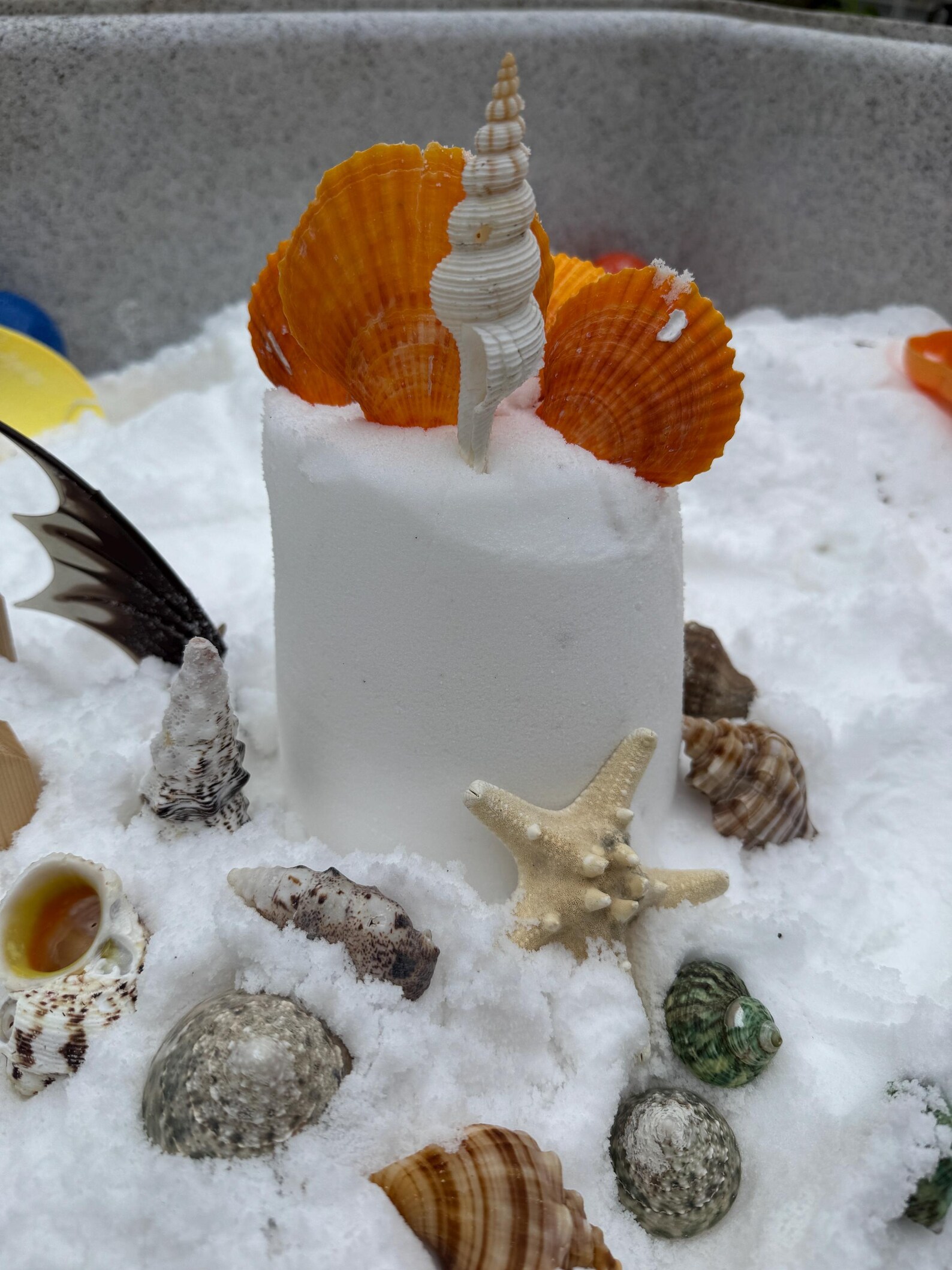 Seashell Role Play Kit, Beach Kit Shells Bundle of 10 Mermaid Shell ...