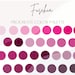 Fuschia Procreate Color Palette | 30 Color Swatches | iPad Illustration ...