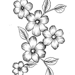 stargate coloring pages