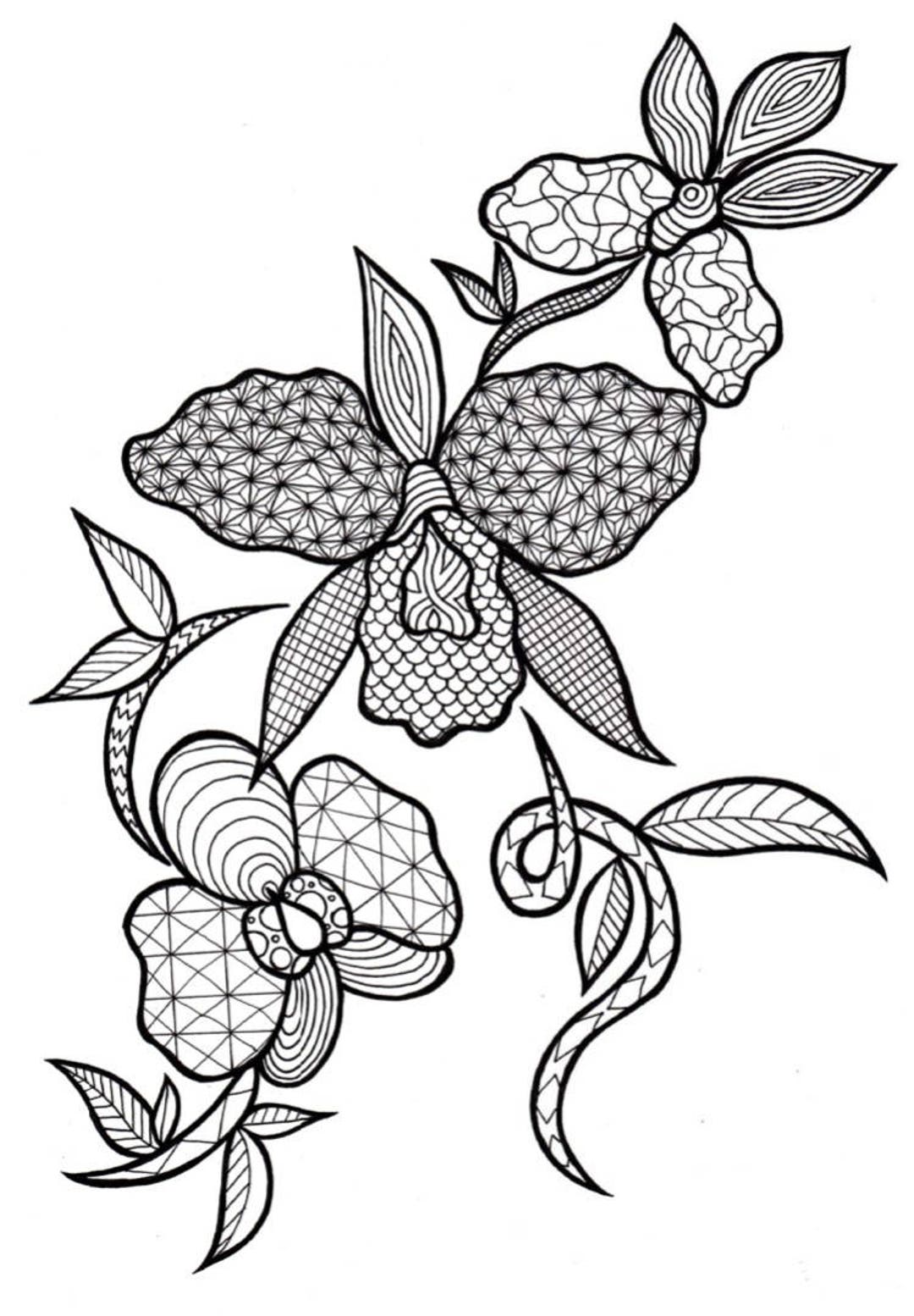 Orchid PDF Coloring Page - Etsy