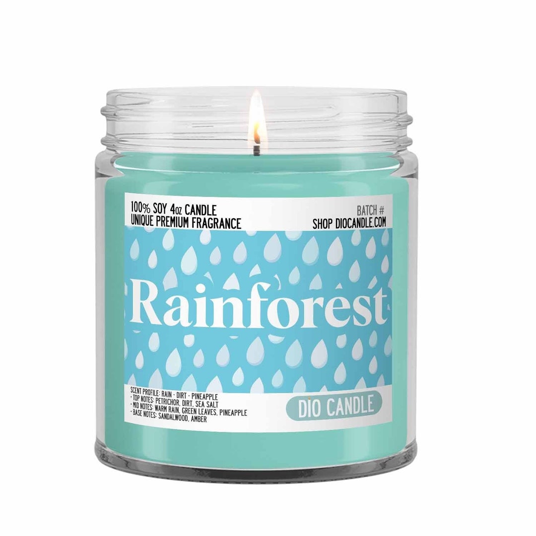 Rainforest Scented Candle - Smells Like Rain, Dirt and Pineapple - Dio ...