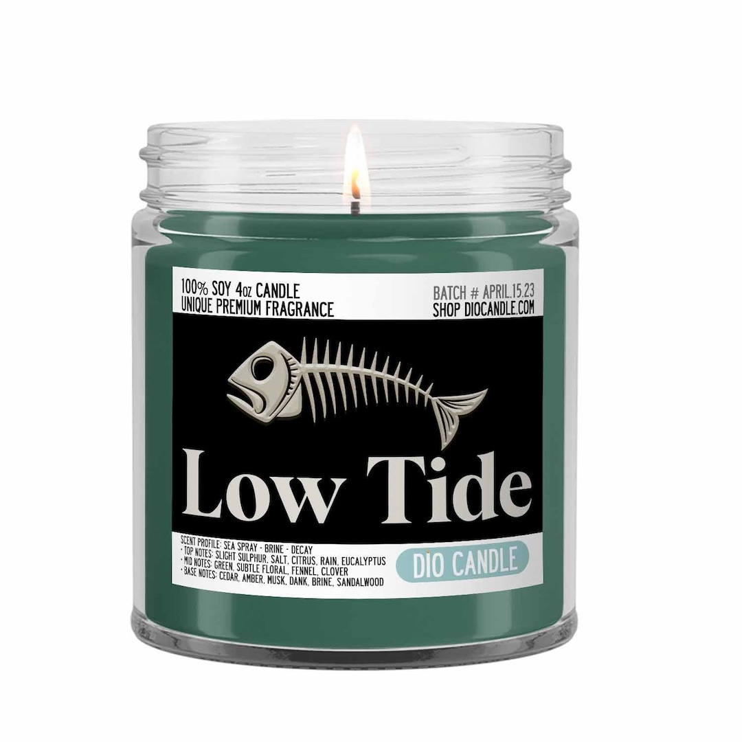 Low Tide Scented Candle - Smells Like Sea Spray, Brine and Decay - Dio ...