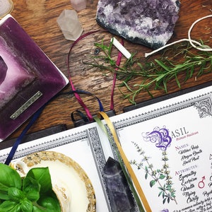 10 Herb Bundle #1 - INSTANT DOWNLOAD Book of Shadows Pages : Sage ...