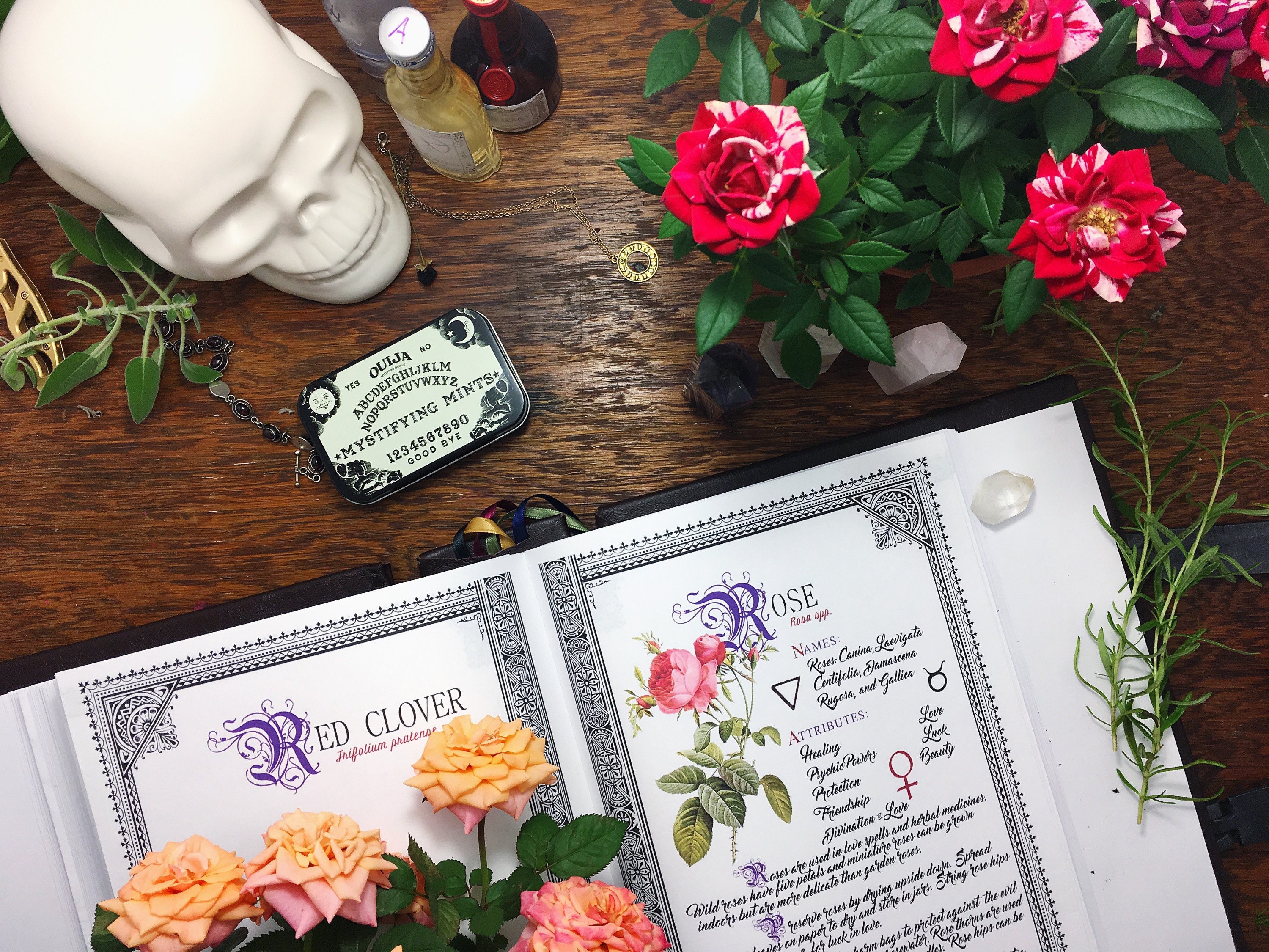 10 Herb Bundle #1 - INSTANT DOWNLOAD Book of Shadows Pages : Sage ...