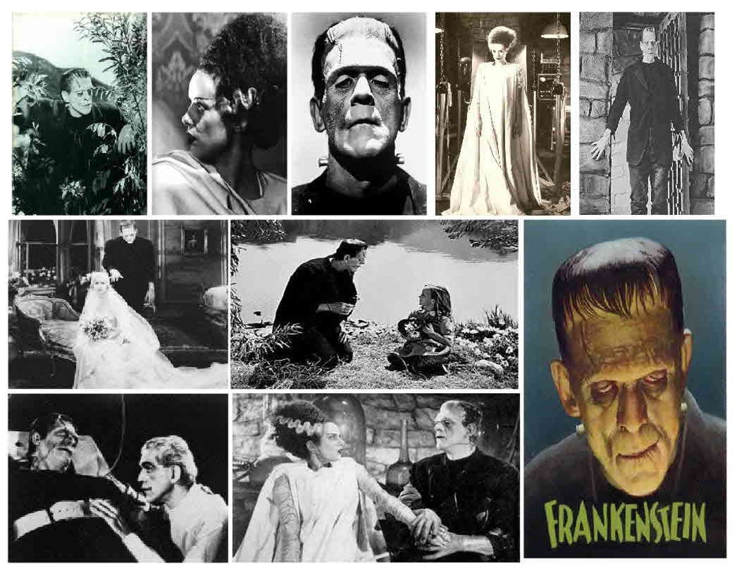 CLASSIC HORROR FRANKENSTEIN Magnets, 12 - Glossy - Etsy