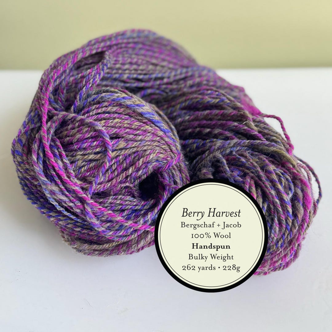 Handspun Dyed Bergschaf + Jacob Blend Yarn • Bulky Weight • 262yds ...