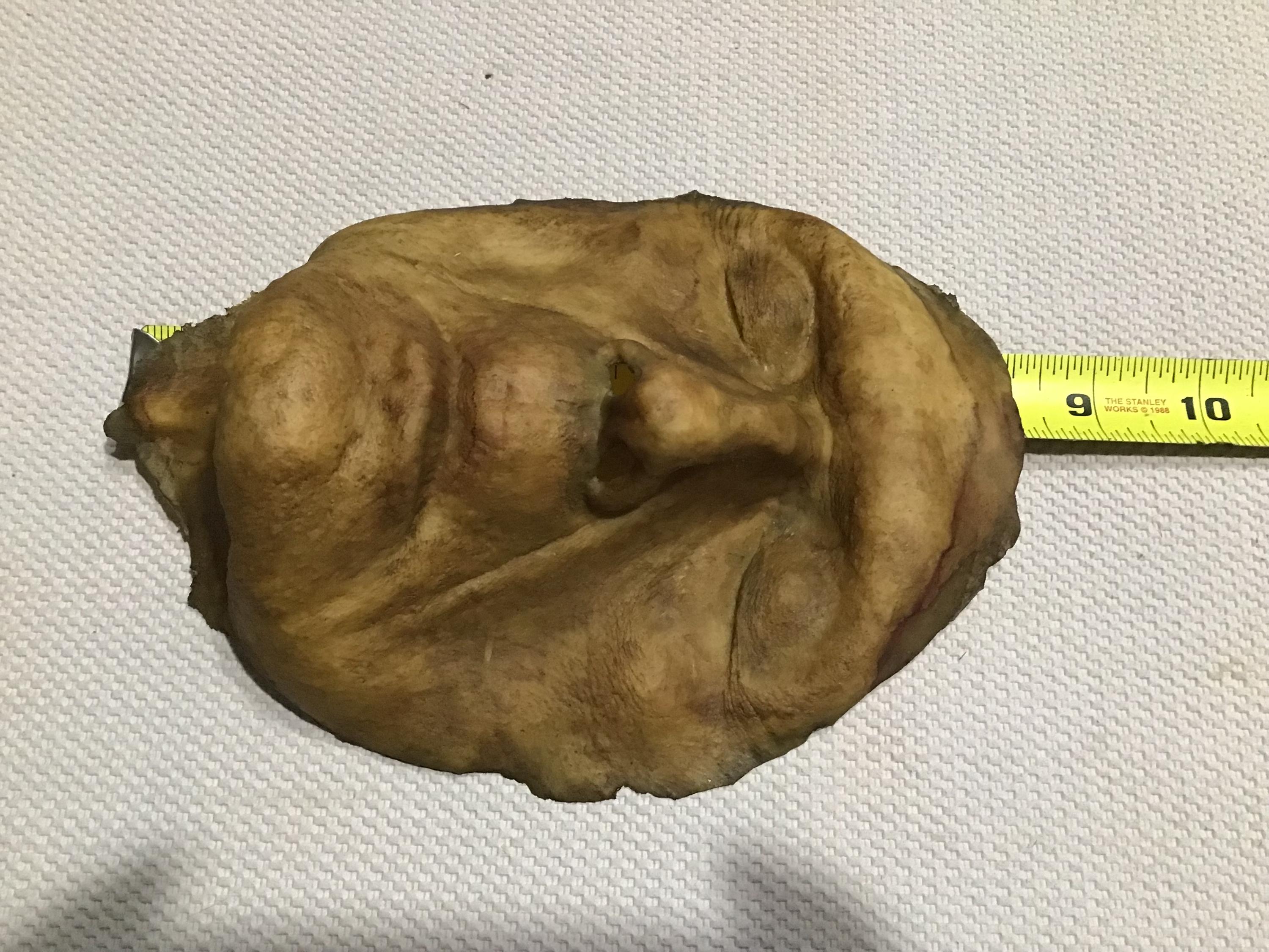 Latex Severed Face Old Man Skin - Etsy