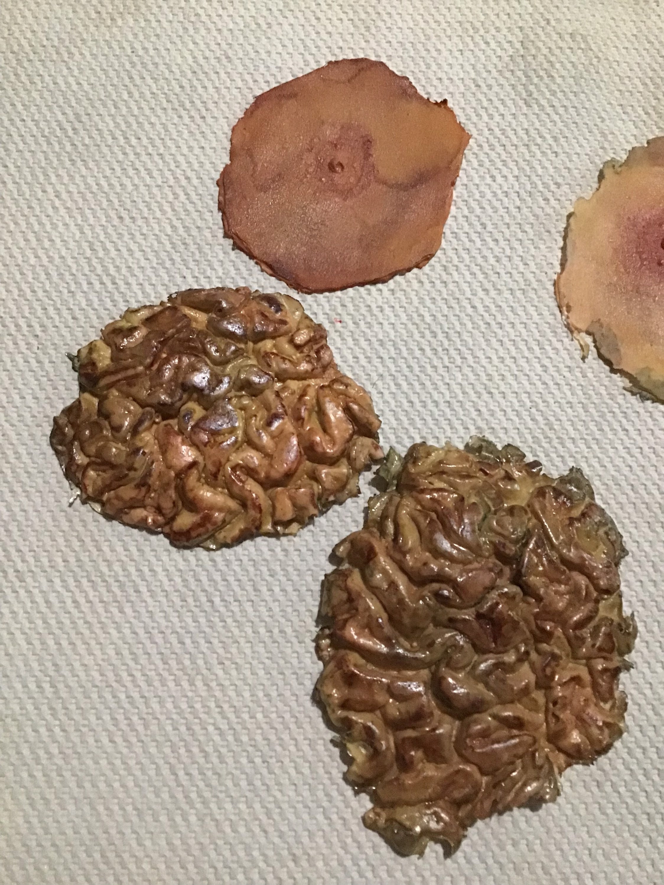 6 Piece Halloween Latex Body Parts Set - Etsy