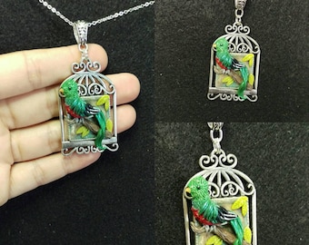 Quetzal | Etsy
