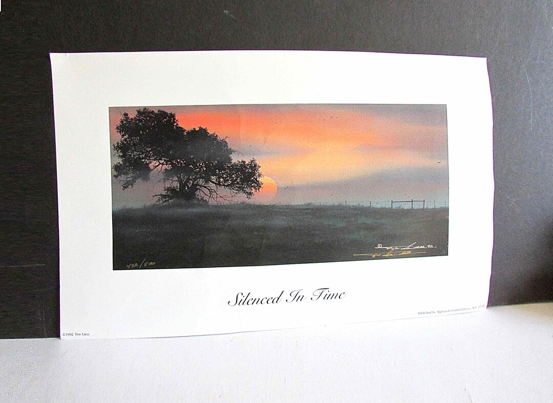 Silenced in Time by Tim Liess Landscape Paper Print 10.5x17" Signed and ...