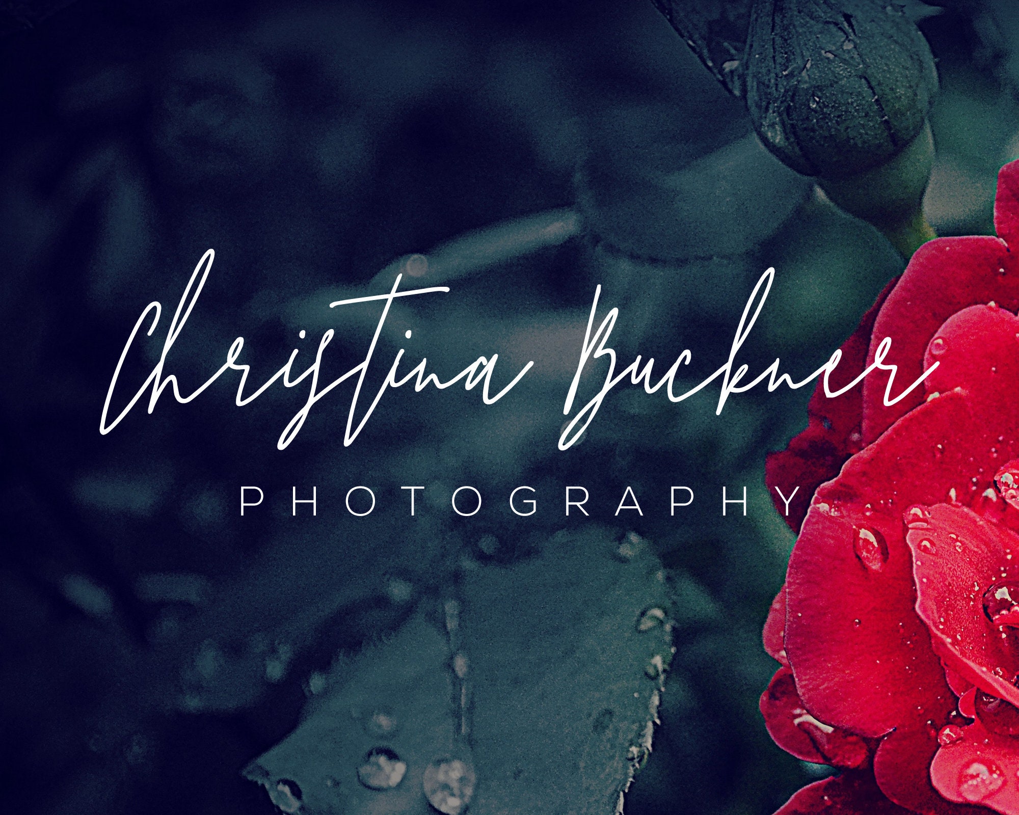 Photography Logo Design, Watermark Logo, Signature Logo, Handwritten ...