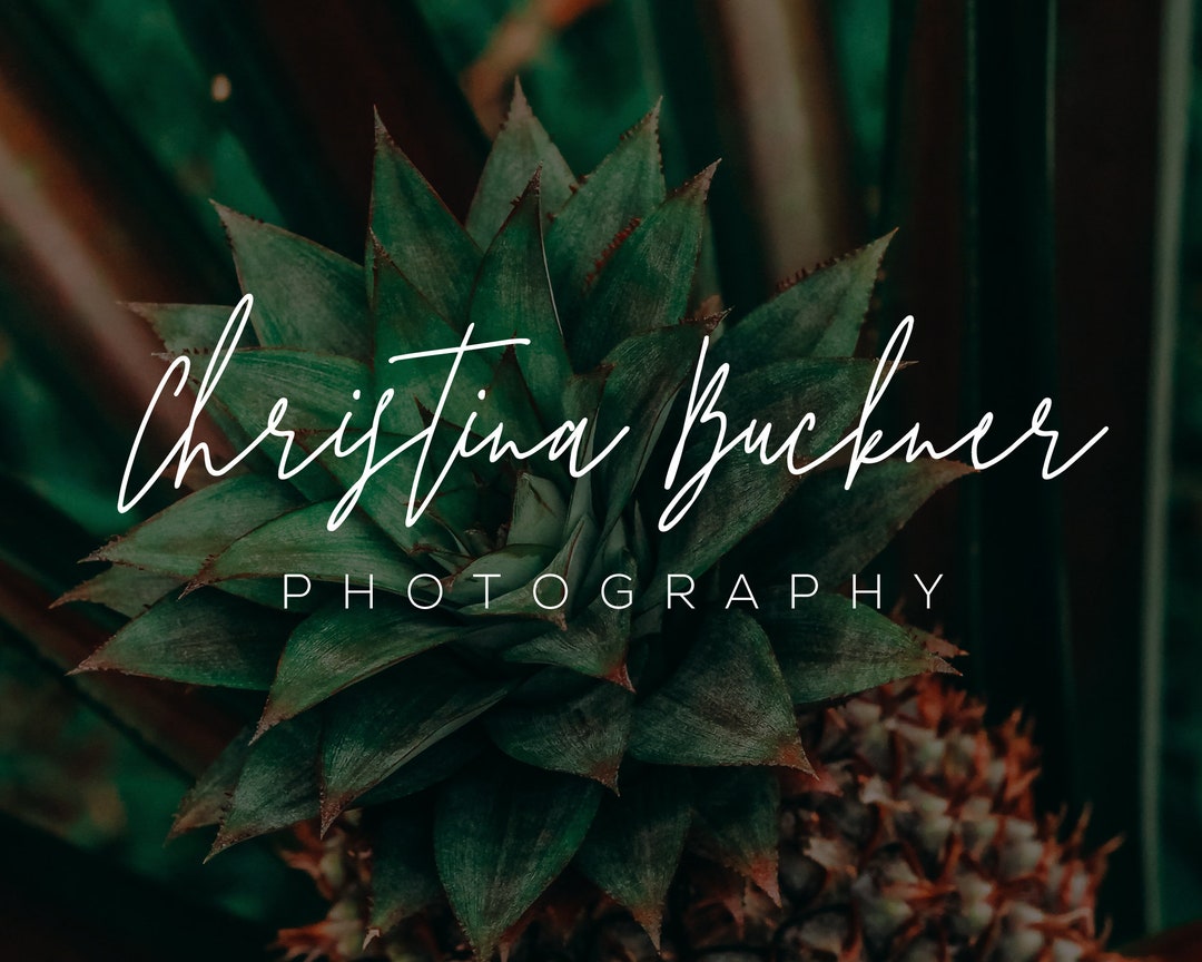 Photography Logo Design, Watermark Logo, Signature Logo, Handwritten ...