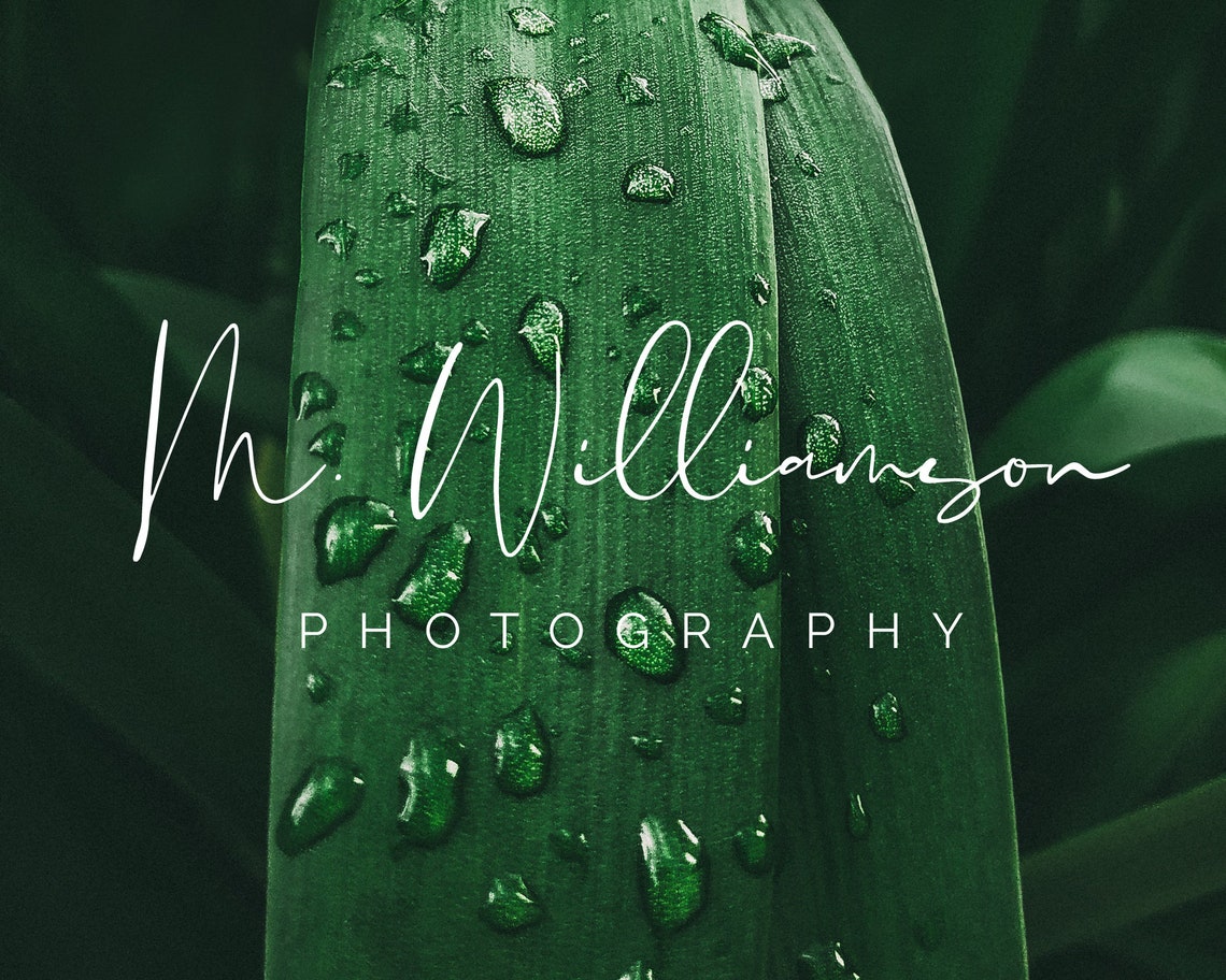 Handwritten Signature Logo Watermark Logo Design Photography | Etsy