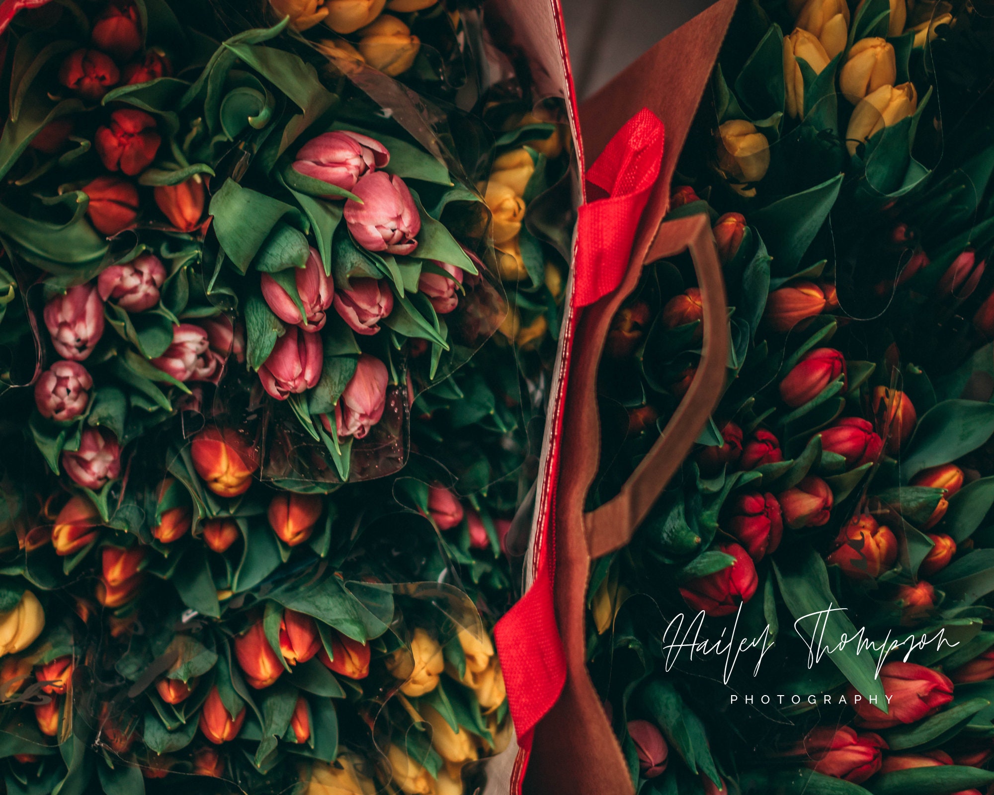 Photography Logo Design, Watermark Logo Design, Signature Logo ...