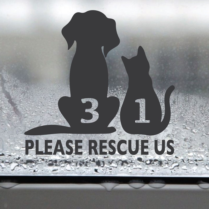 Pet Inside Sticker - Etsy