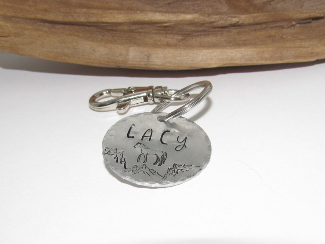 Personalize Horse ID Tags, Bridle Tags for Horse, Halter ID Tag for ...