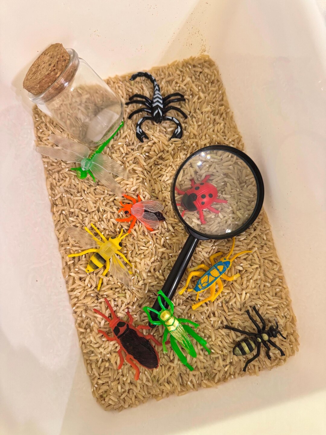 Insects Sensory Bin, Taste-safe Filler - Etsy UK