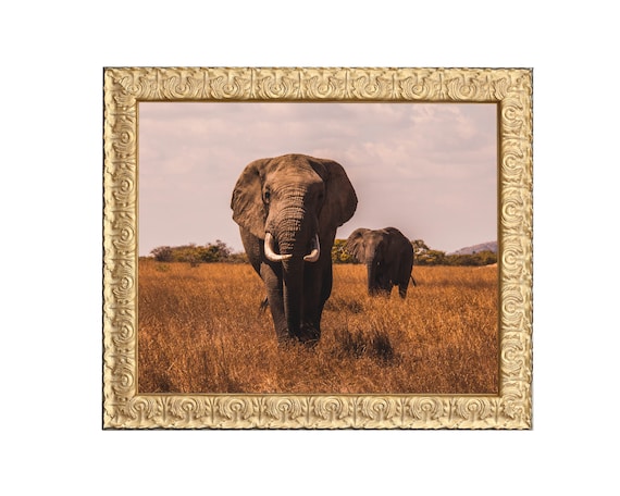 Antique Square Gold Picture Frame