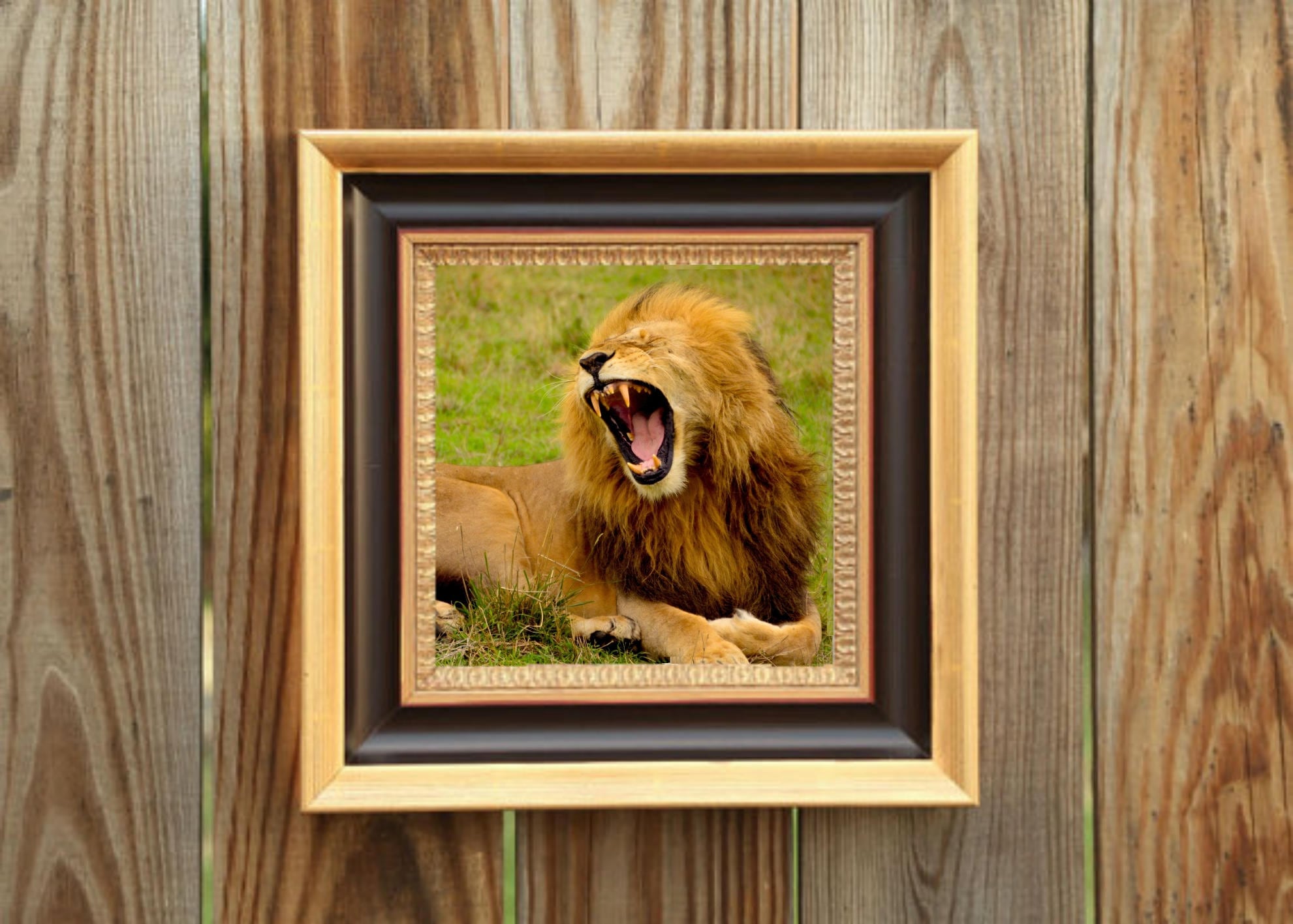 8x8 Antique Gold Mahogany Picture Frame 8x8 Rustic Gold Photo | Etsy