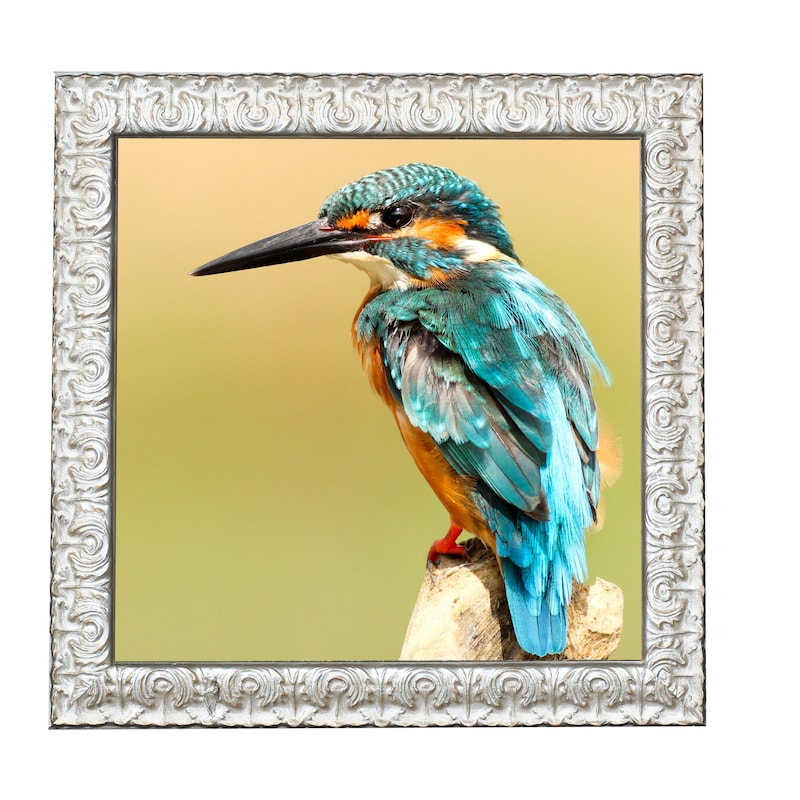 8x8 Antiqued Frame - Etsy