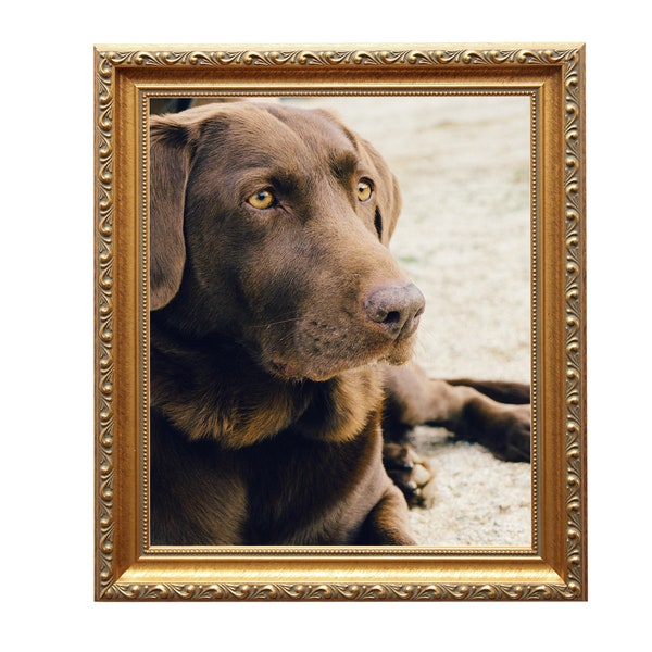 8 Gold Picture Frame - Etsy